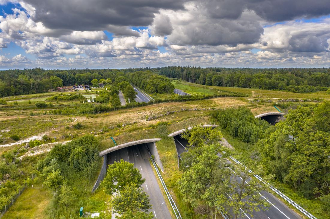 Des corridors écologiques pour permettre aux espèces végétales et ...